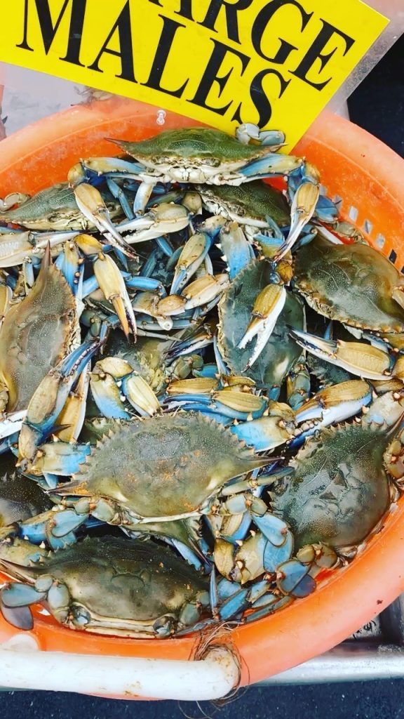 Menu – Geresbecks Crabs
