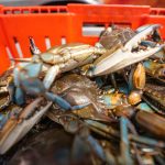 Menu – Geresbecks Crabs