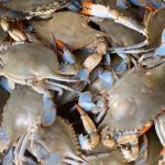 Menu – Geresbecks Crabs